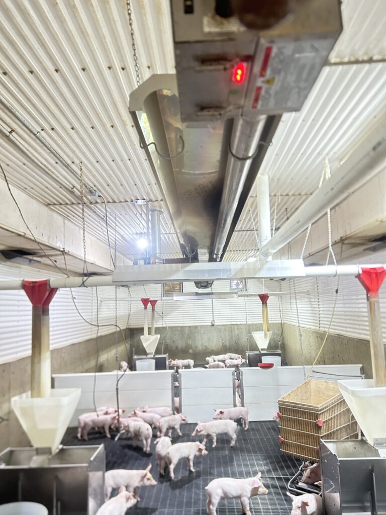 Reflect-O-Ray Heating - Enviro-Smart Inc